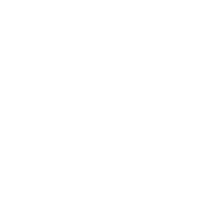 Security Printing - Holotech